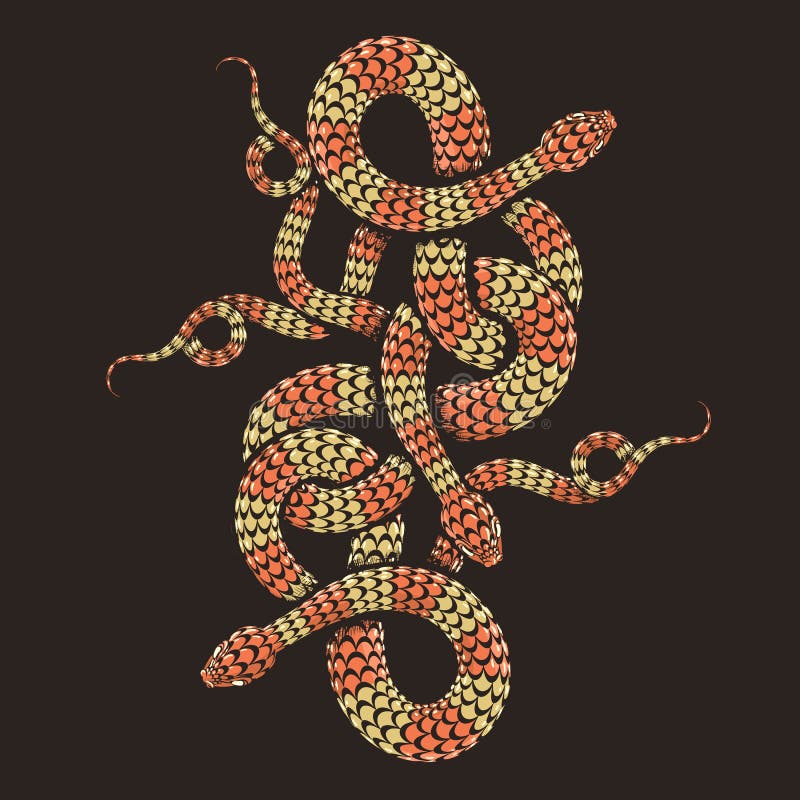 Snake Knot Chinese Symbol of Good Fortune Emblem Stock Vector ...