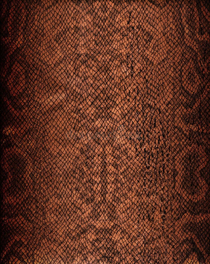 Snake Leather Background Texture Stock Image - Image of ginger, fabric ...