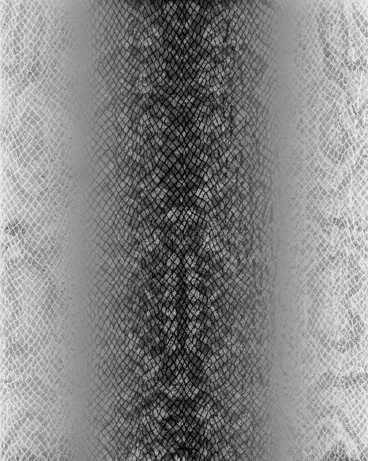 Snake Leather Background Texture Stock Image - Image of cloth ...