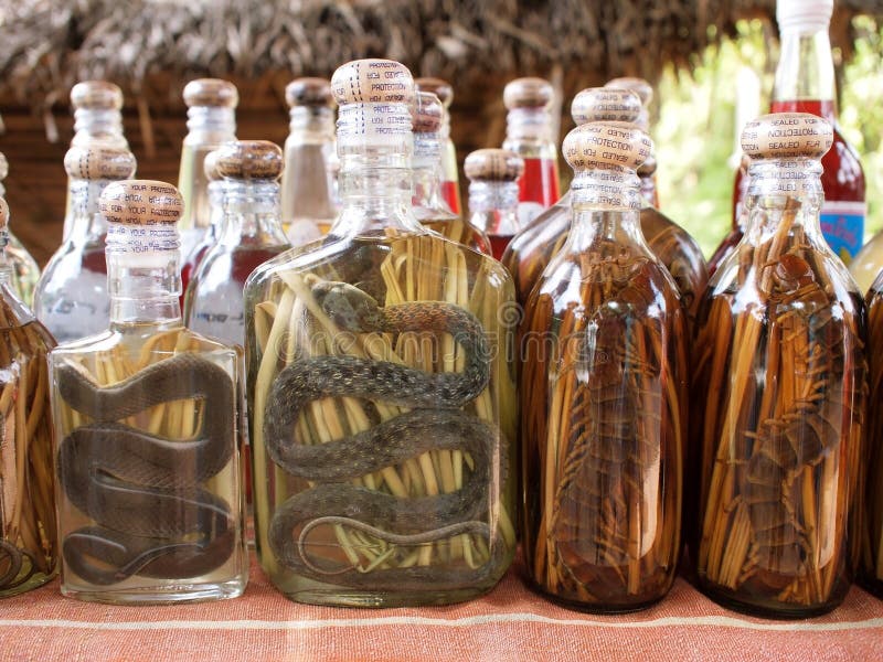 Snake liquor stock photo. Image of travel, asian, laos - 18836000