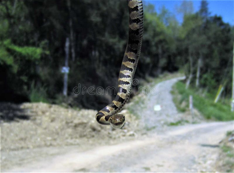 Wendy McNulty (Wlmcnulty) - Photos