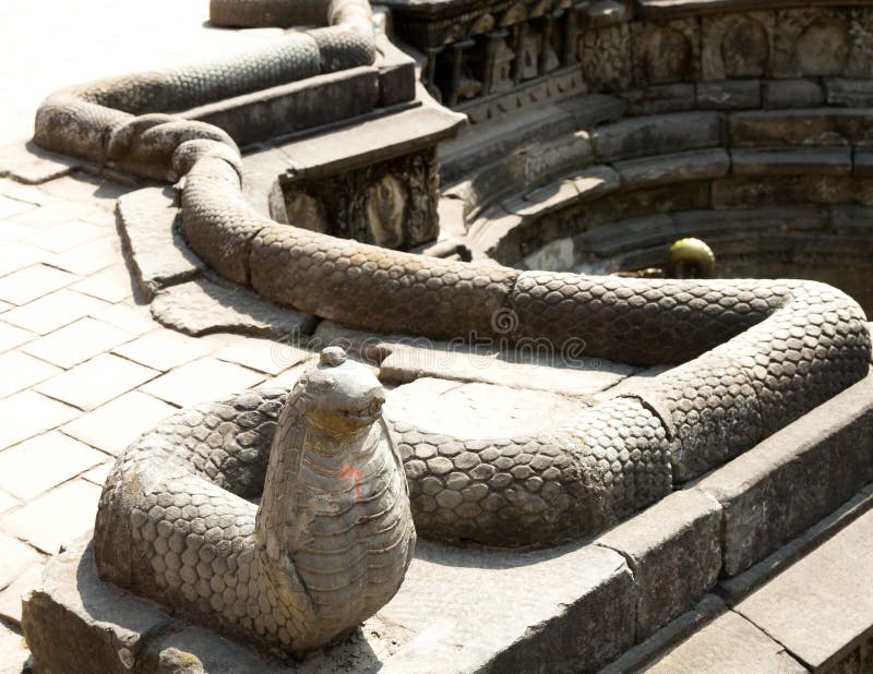 Snake Stone Stock Images - Download 5,059 Royalty Free Photos