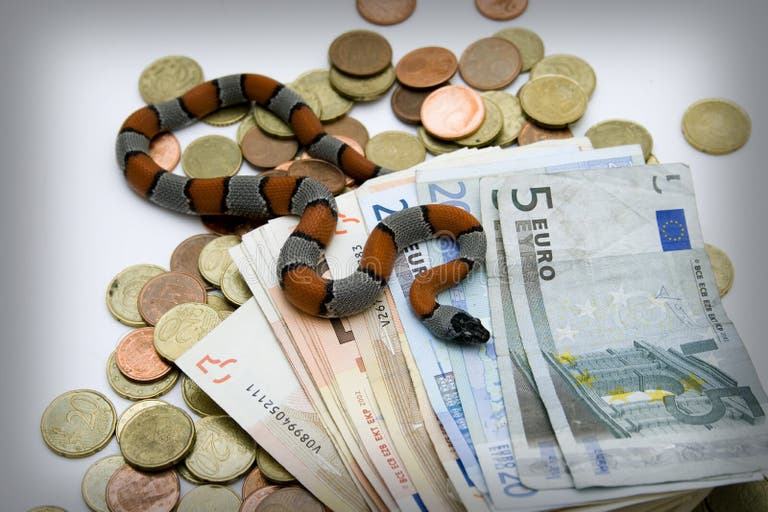 Snake and money stock image. Image of indigent, europe - 7072587