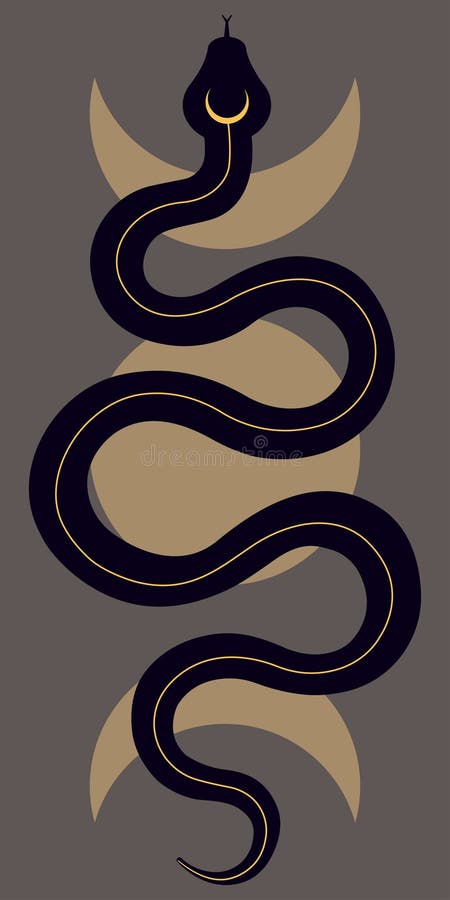 Snake and Moon Phases. Esoterics. Black Silhouette of a Snake Stock ...