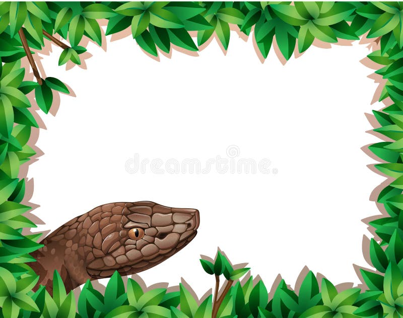 Reptile Border Stock Illustrations – 627 Reptile Border Stock ...