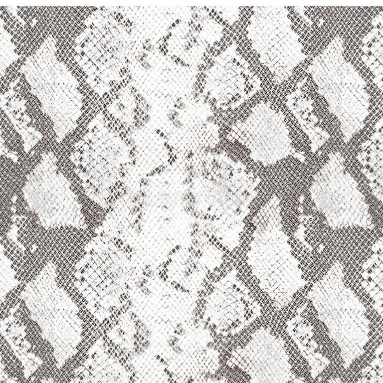 Snake Pattern and Animal Pattern.snake Metering Pattern on the Ground ...