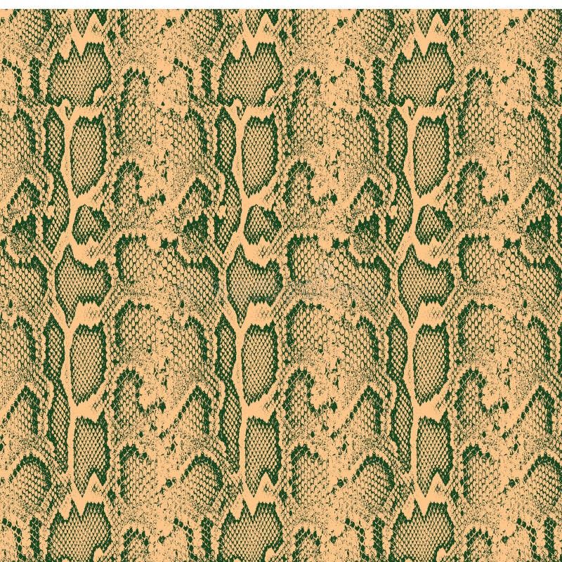 Snake Pattern and Animal Pattern.snake Metering Pattern on the Ground ...
