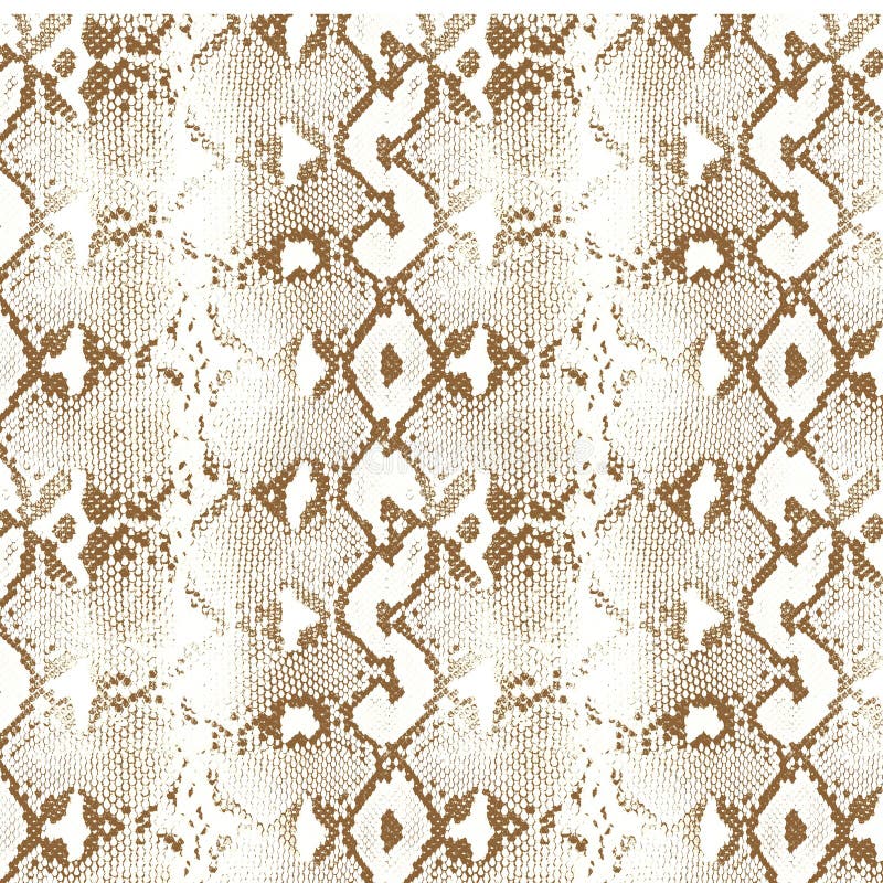 Snake Pattern and Animal Pattern.snake Metering Pattern on the Ground ...