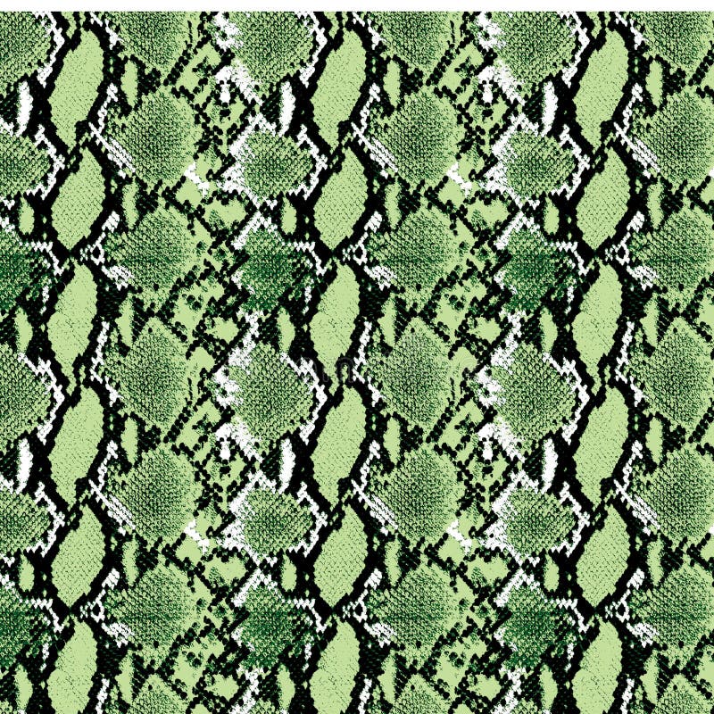 Snake Pattern and Animal Pattern.snake Metering Pattern on the Ground ...