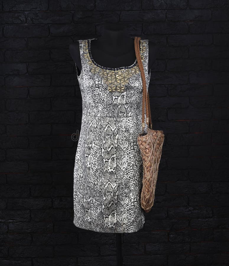 Snake Pattern Dress on Mannequin Stock Image - Image of beauty, fashion ...
