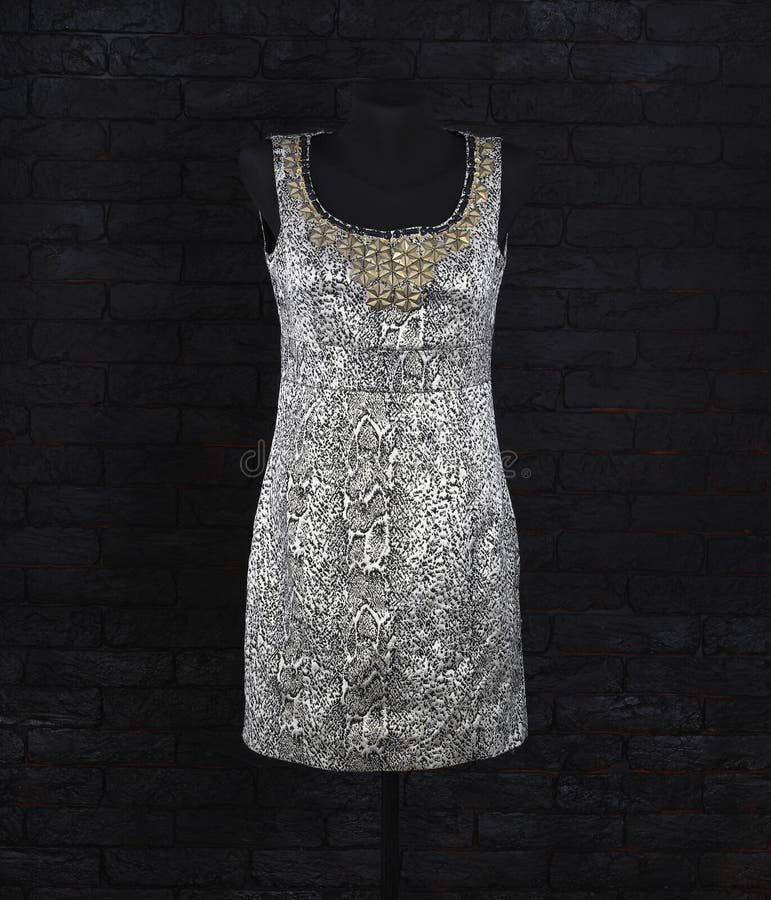 Snake Pattern Dress on Mannequin Stock Image - Image of clothes, retail ...
