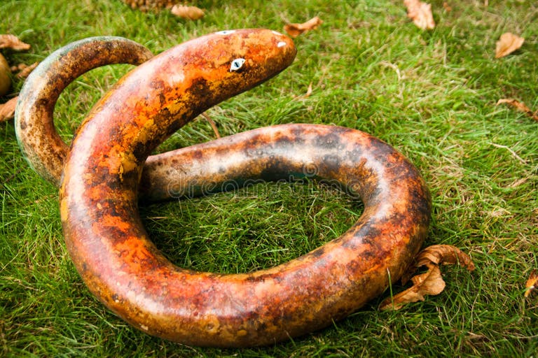 Snake of pumpkin stock image. Image of agriculture, decoration - 27202657