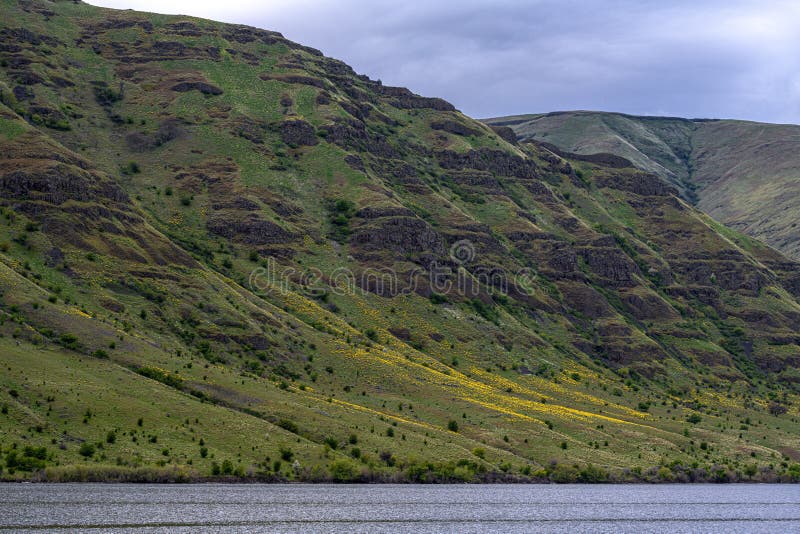 Snake River Canyon in Spring Stock Image - Image of view, gorge: 247489971