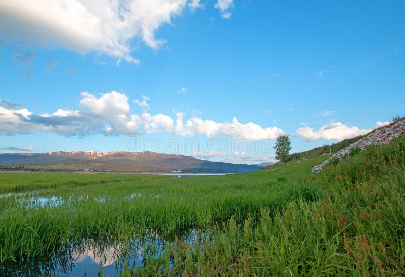 Snake River Under Cumulus Cloud Sky in Alpine Wyoming Stock Image ...