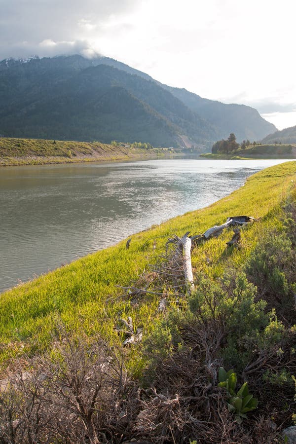 Snake River Under Cumulus Cloud Sky in Alpine Wyoming Stock Photo ...