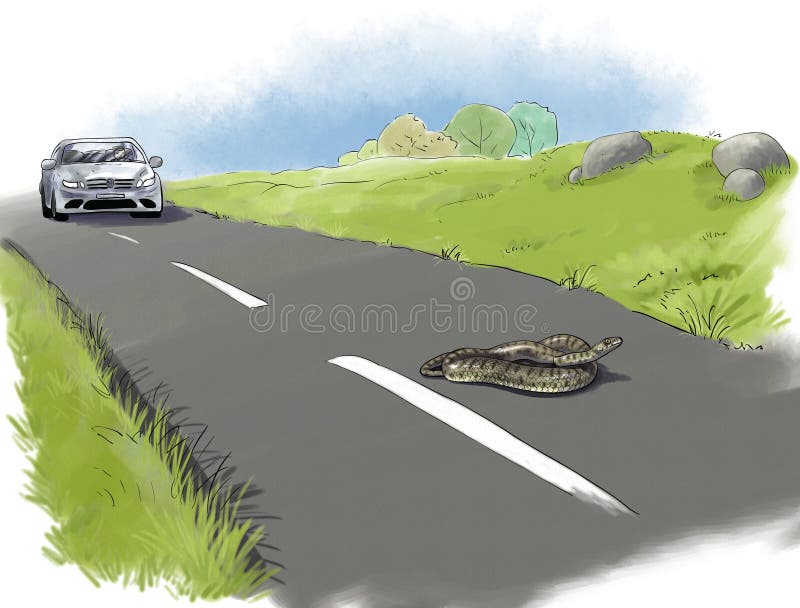 Road Snake Stock Illustrations – 436 Road Snake Stock Illustrations ...