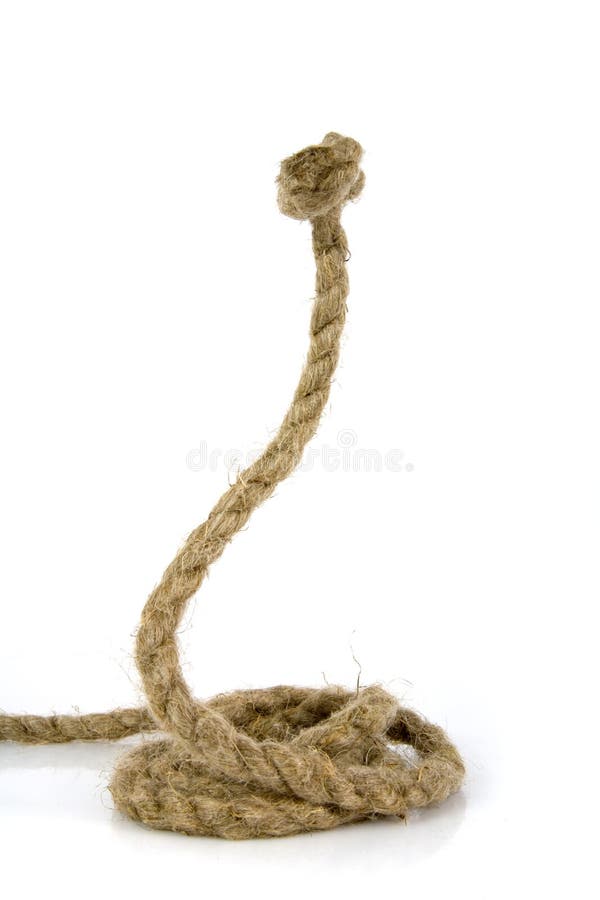 Snake from rope on white stock photo. Image of concepts - 7421804