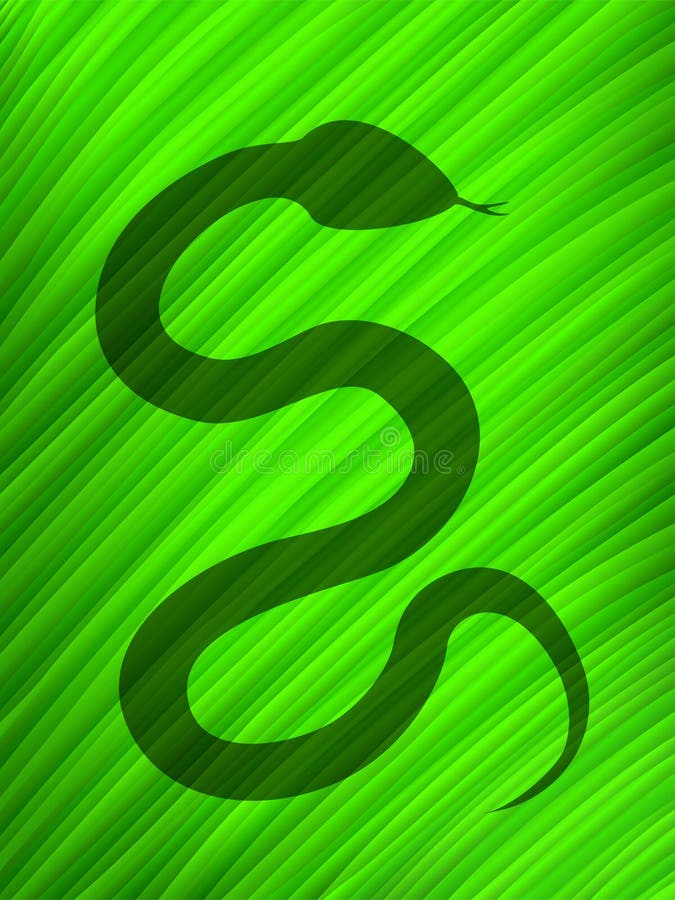 Snake Shadow Over a Big Leaf Stock Vector - Illustration of flora ...