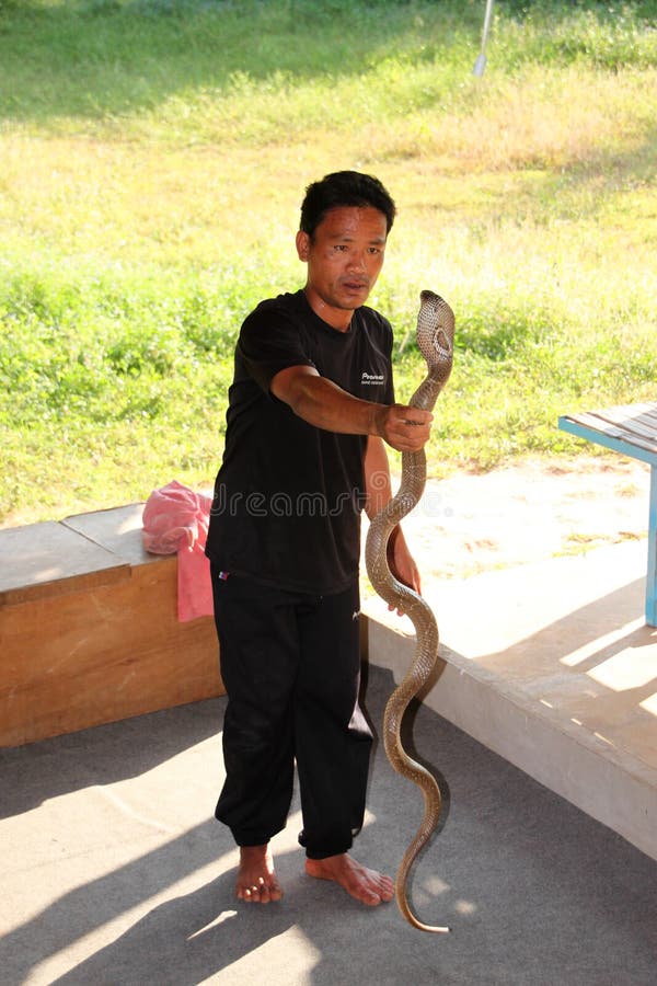 Hand Snake Shown for Educational Purposes in the Museum Editorial Stock ...
