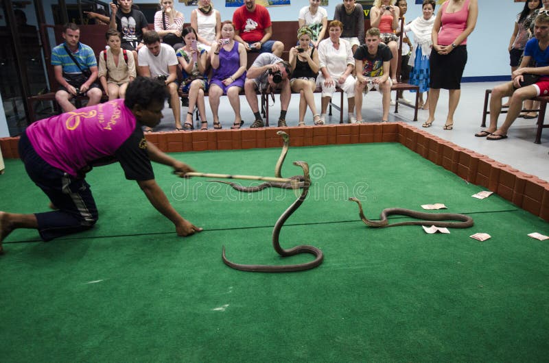 Snake show editorial stock image. Image of exhibition - 29901844