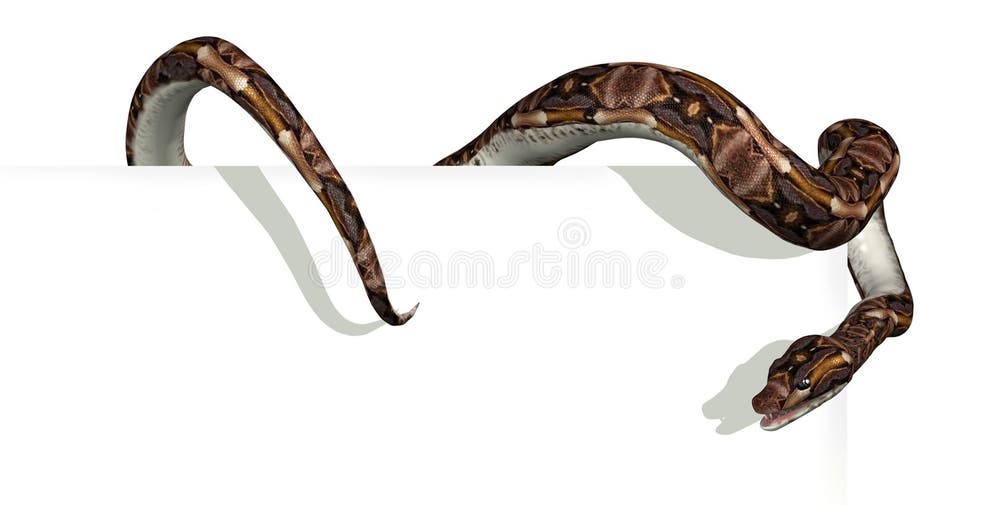 Snake Border Stock Illustrations – 5,257 Snake Border Stock ...