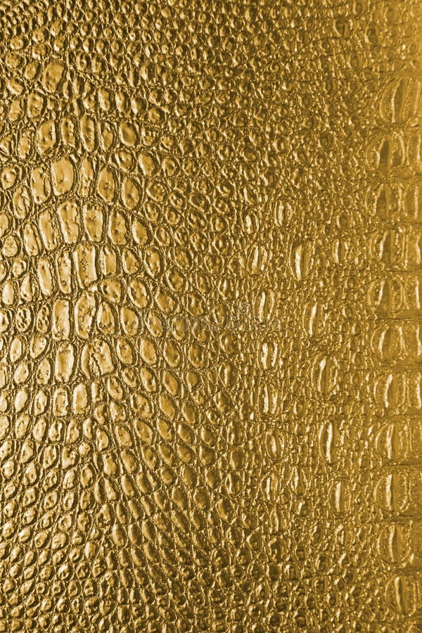 Snake skin texture stock photo. Image of brown, wallpaper - 32575834