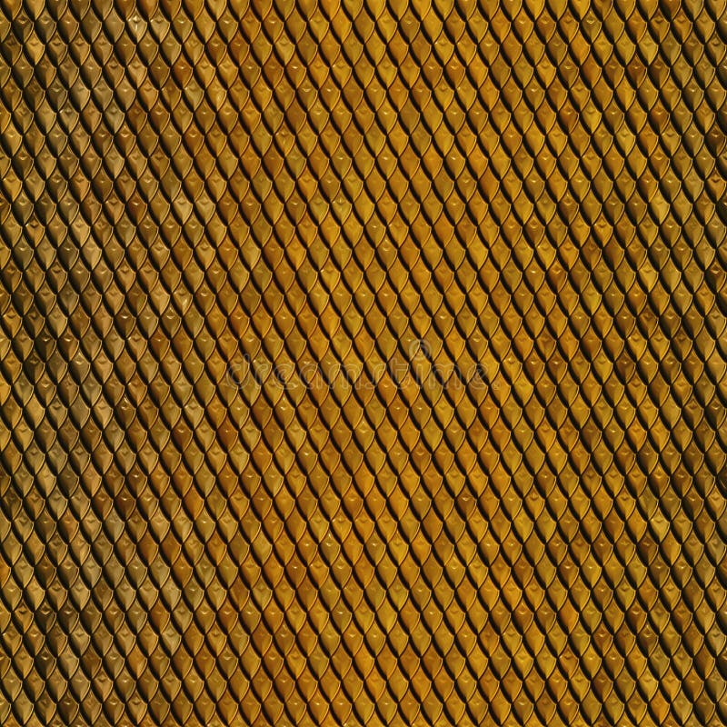 Snake Skin stock image. Image of snake, tile, shoes, belt - 20038969