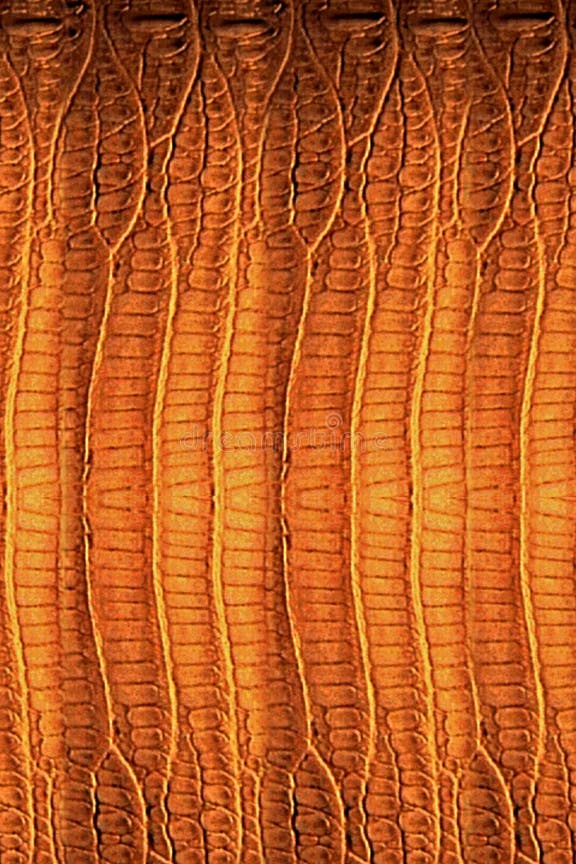 Poison Snake Skin Pattern Background Stock Illustrations – 753 Poison ...