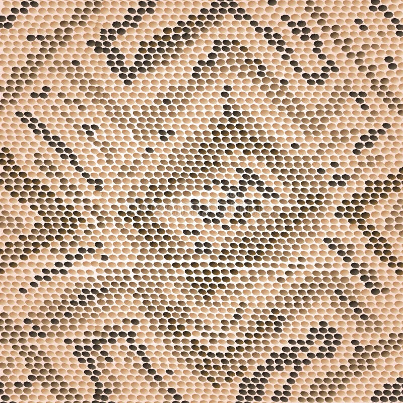 Snake skin texture stock image. Image of exotic, dangerous - 24356631