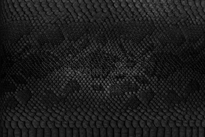 904 Beige Snake Skin Background Stock Photos - Free & Royalty-Free ...