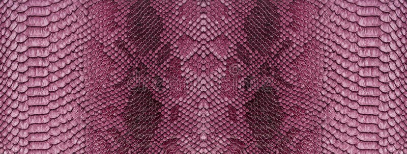 906 Pink Snake Skin Stock Photos - Free & Royalty-Free Stock Photos ...