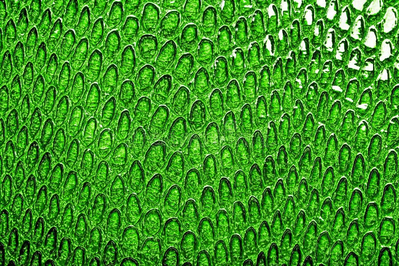 Green Snake Skin, As Background. Reptile Stock Photo - Image of black ...