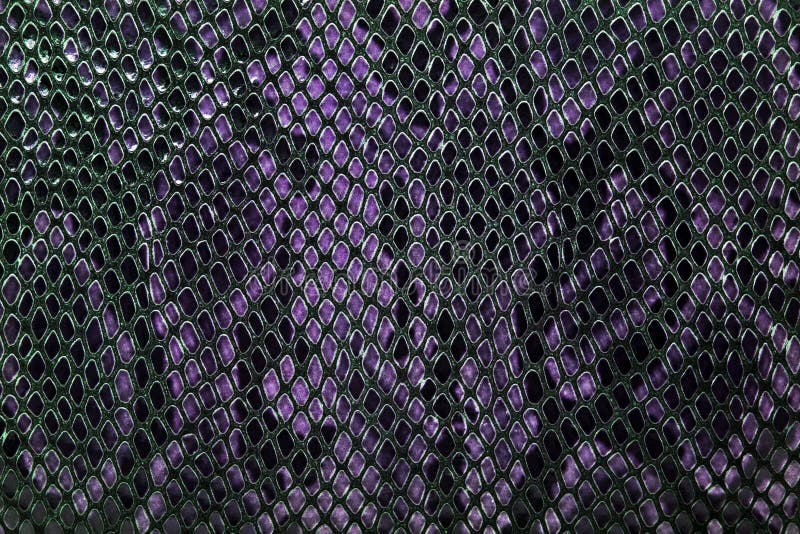 Snake skin background stock image. Image of exotic, python - 167637847