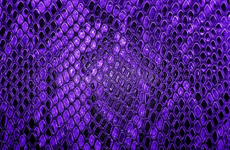 Snake skin background stock photo. Image of fauna, material - 167638634