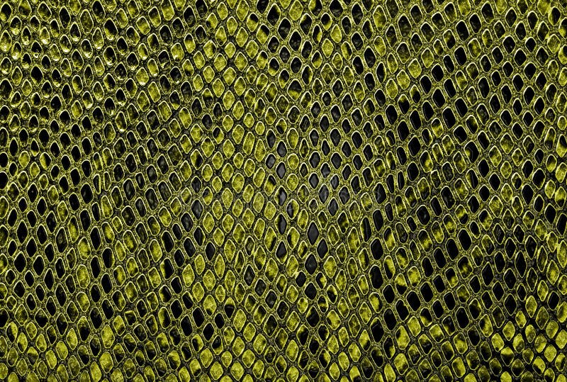 Yellow Snake Skin, As Background Stock Photo - Image of tropical, rough ...