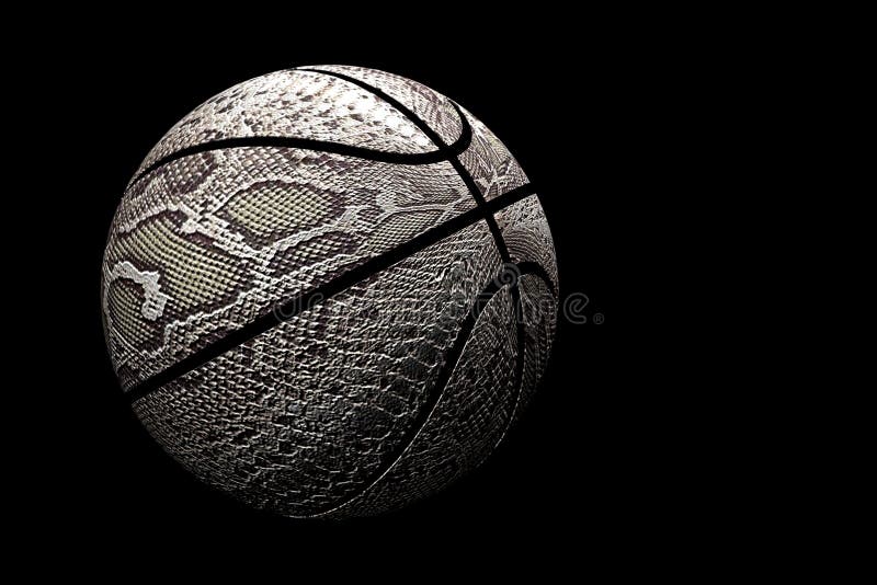Snake skin basketball stock photo. Image of team, wood - 3104248