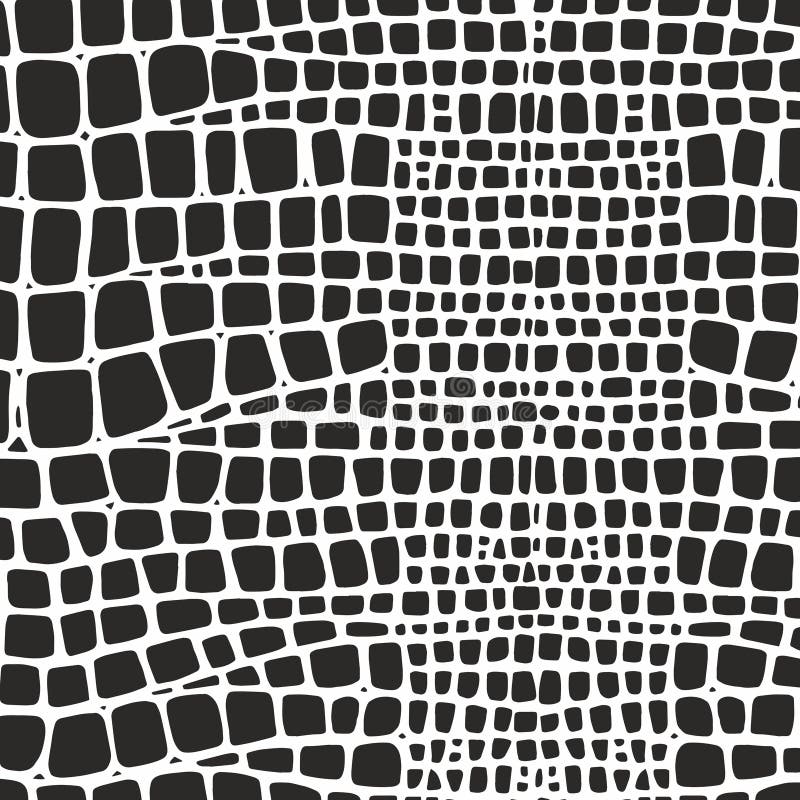 Snake Skin. Black and White Texture. Stock Vector - Illustration of ...