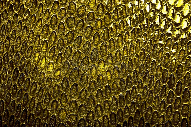 Yellow Snake Skin Background Stock Image - Image of black, fashion ...