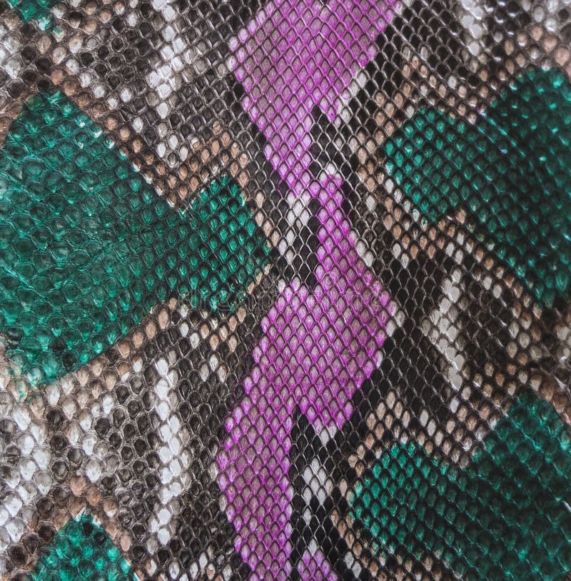 Snake skin stock photo. Image of luxury, snake, textured - 10630688