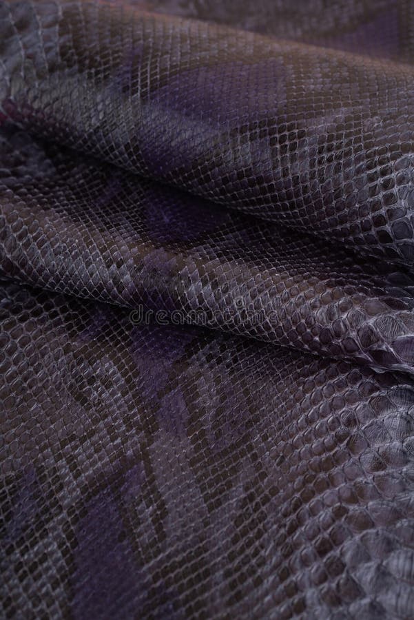 Snake Skin Fabric Texture with Waves and Folds. Background with a ...