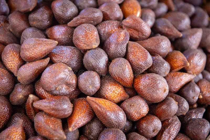 Snake skin fruit stock image. Image of bunch, malaysia - 373937619