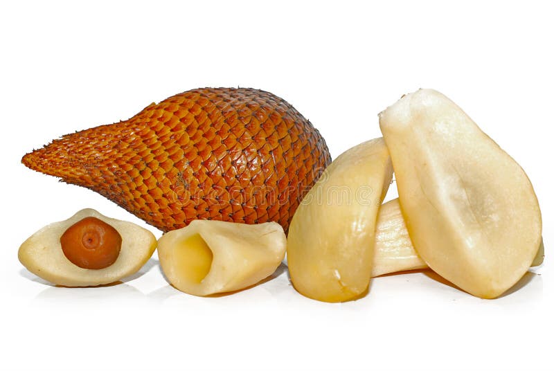 Skin Raw Fruit Seeds of Leucaena Leucocephala Plant 286954763 Stock ...