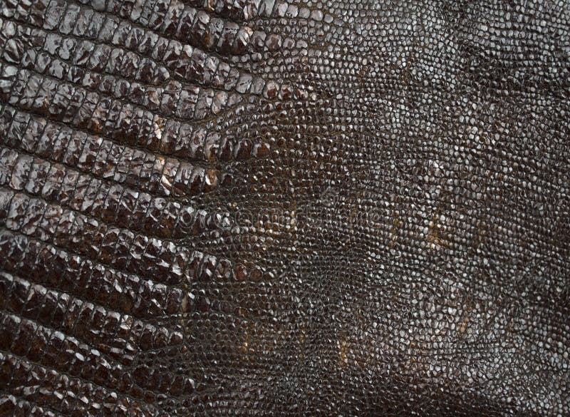 Snake Skin Leather Background Stock Image - Image of print, fashion ...