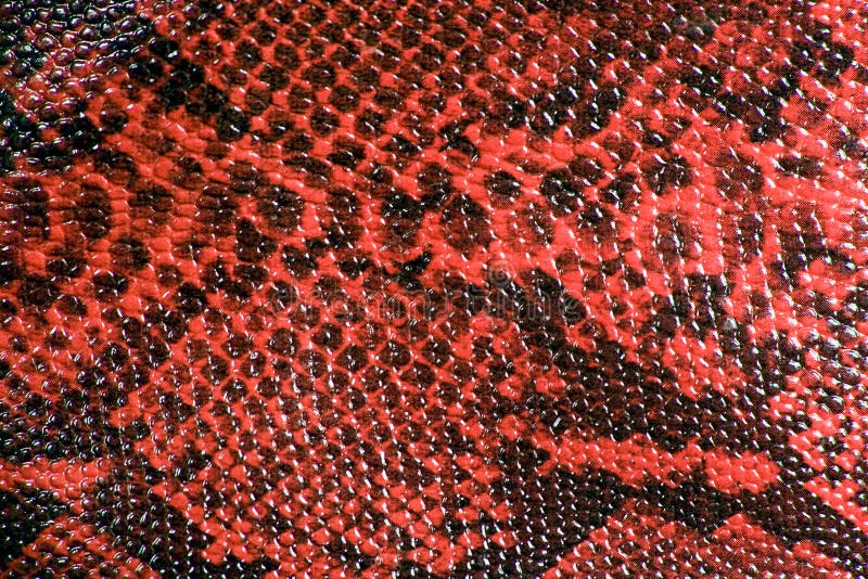 Snake Skin Leather Texture stock photo. Image of template - 7690418