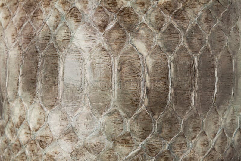 Snake skin leather texture stock photo. Image of abstract - 52300542