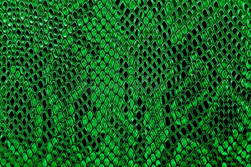 Green Snake Skin Texture