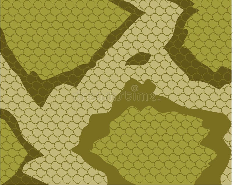 Snake Skin Pattern stock illustration. Illustration of belly - 8030651