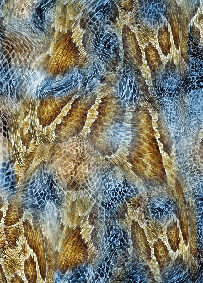 Mottled Snake Stock Illustrations – 340 Mottled Snake Stock ...