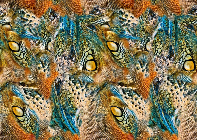 Mottled Snake Stock Illustrations – 340 Mottled Snake Stock ...