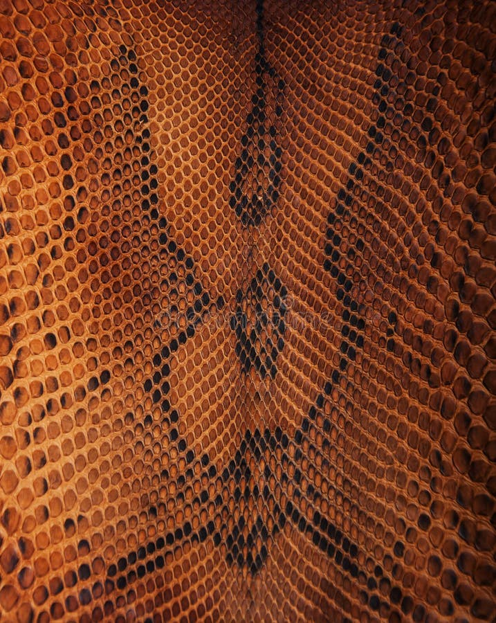 Snake Skin Pattern Toned Classic Blue Color Stock Image - Image of ...